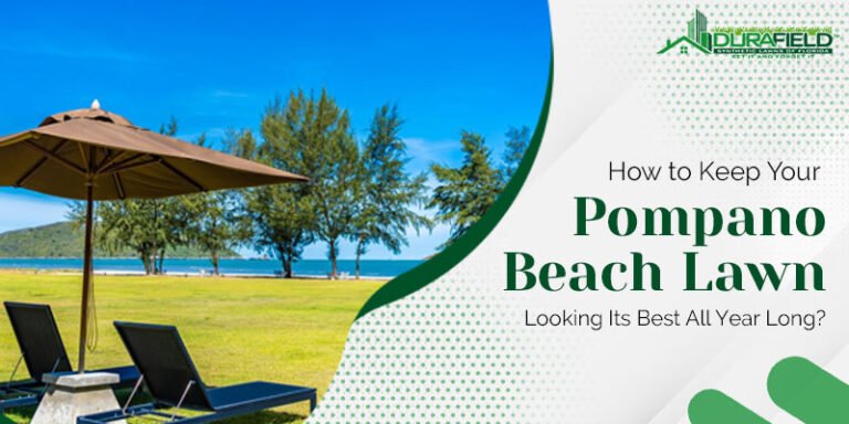 How To Keep Your Pompano Beach Lawn Looking Its Best All Year Long?