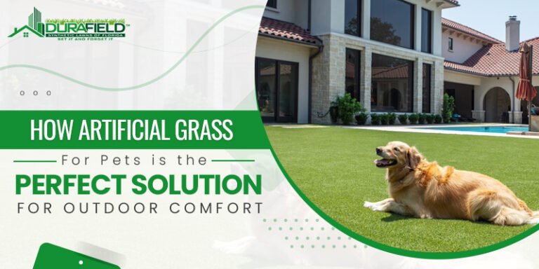 How Artificial Grass For Pets Is The Perfect Solution For Outdoor ...